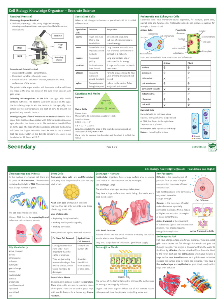 AQA Cell Biology Knowledge Organiser | PDF | Cell (Biology) | Bacteria