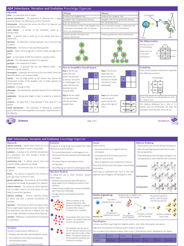 AQA Inheritance, Variation and Evolution Knowledge Organiser | PDF | Dominance (Genetics) | Allele