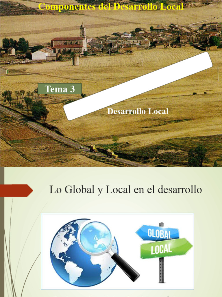 Componentes Del Desarrollo Local Semana 12 | PDF | Capital social ...