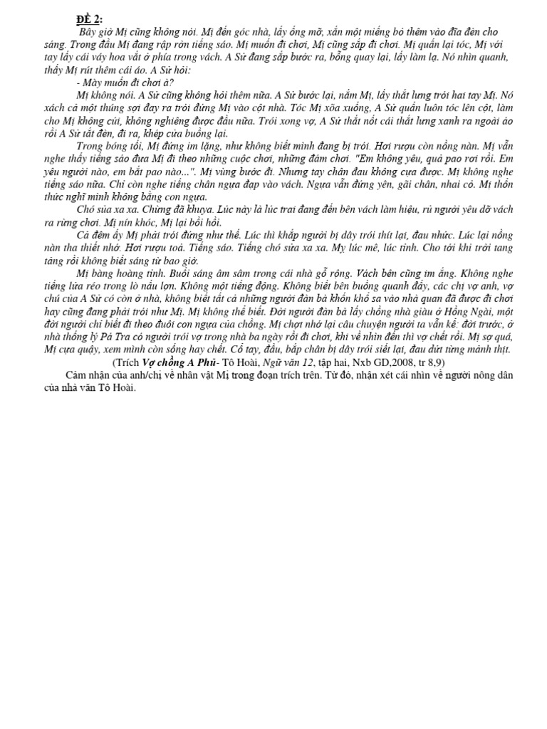 VCAP - Đề 2 | PDF