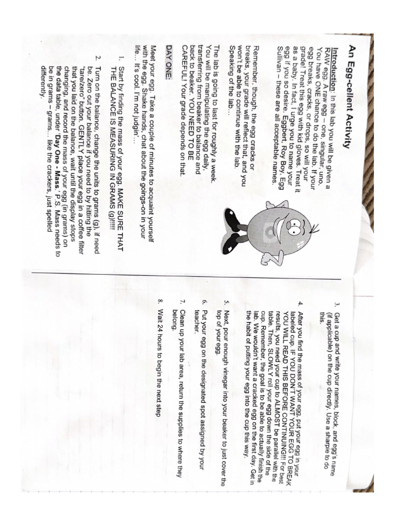 An Egg-Cellent Activity | PDF