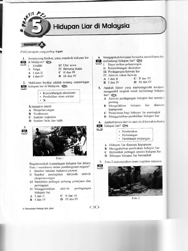 Bab5 Dan 6 - AQIL | PDF