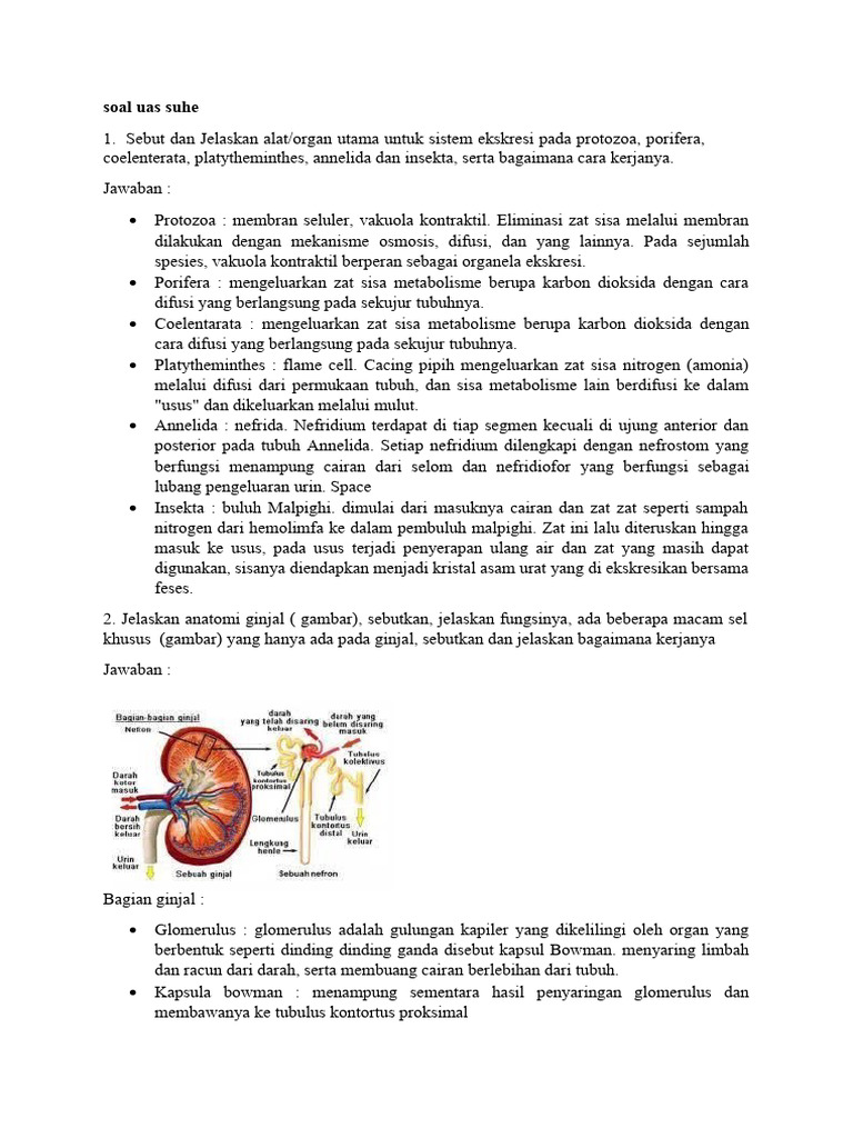 Soal Uas Struktur Hewan | PDF | Sains & Matematika