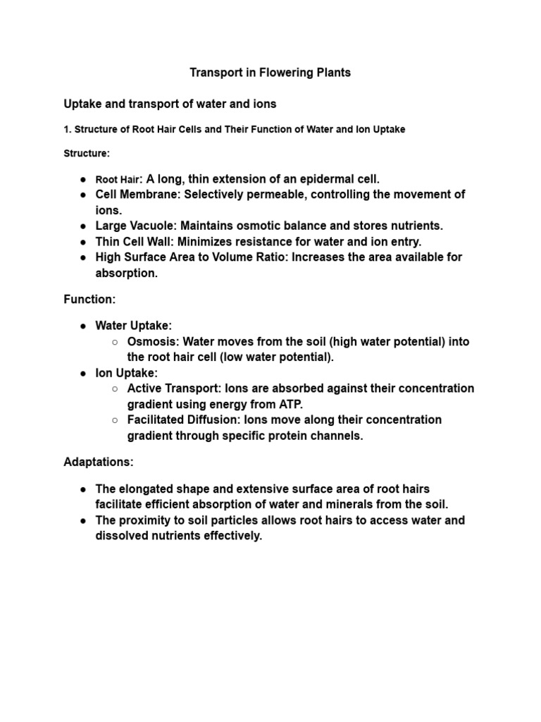 Transport in Flowering Plants | PDF | Plant Stem | Root