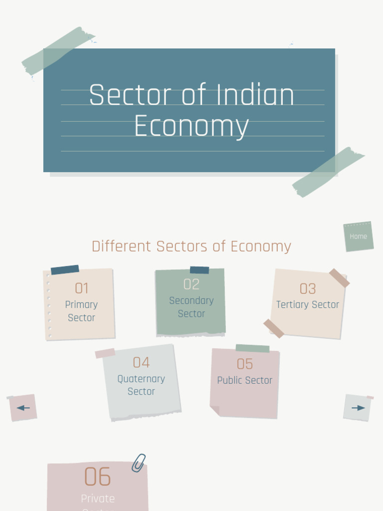 Sectors of Economy | PDF | Knowledge Economy | Agriculture