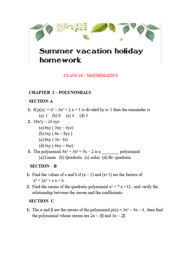 Class 10 - Holiday Homework | PDF | Polynomial | Line (Geometry)