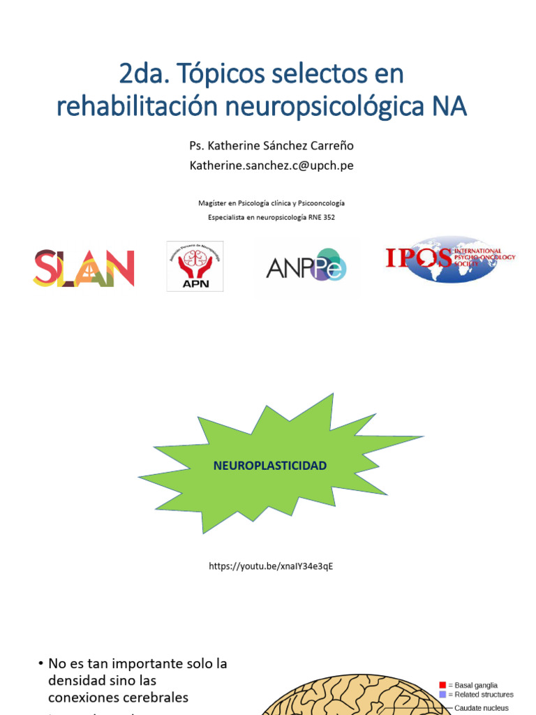 Tsna 2 | PDF | Neurología | Cerebro