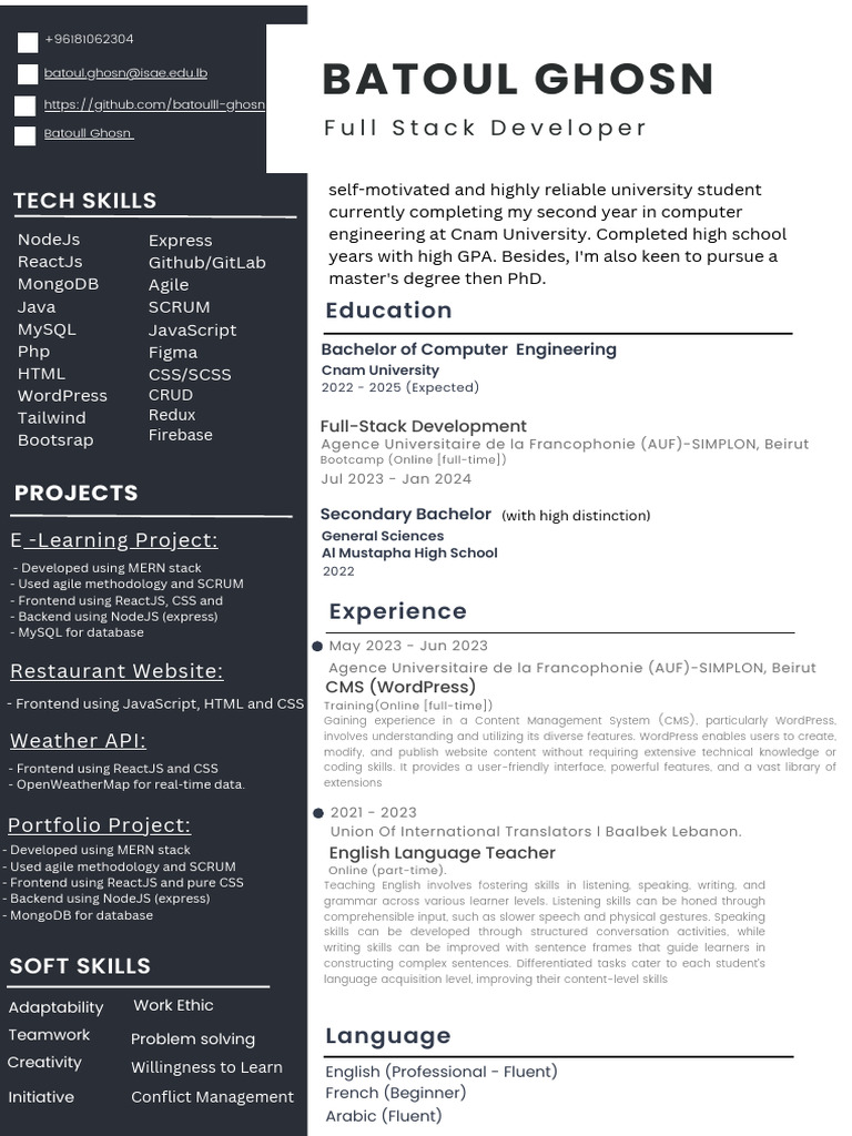 Professional Modern CV Resume 6 | PDF | Word Press | My Sql