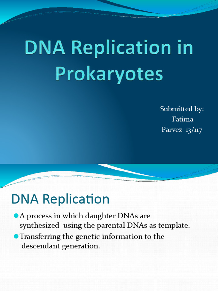 Understanding DNA Replication Processes | PDF | Dna Replication | Dna