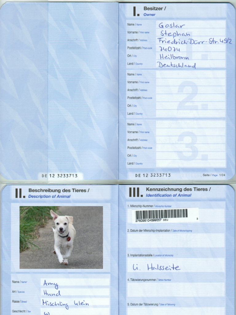 Impfbuch Amy Stand 01.07.2024 | PDF