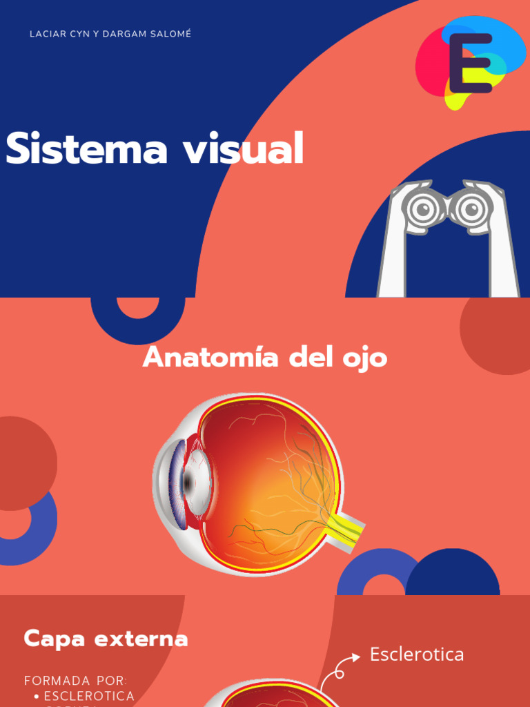 Sistema Visual | PDF