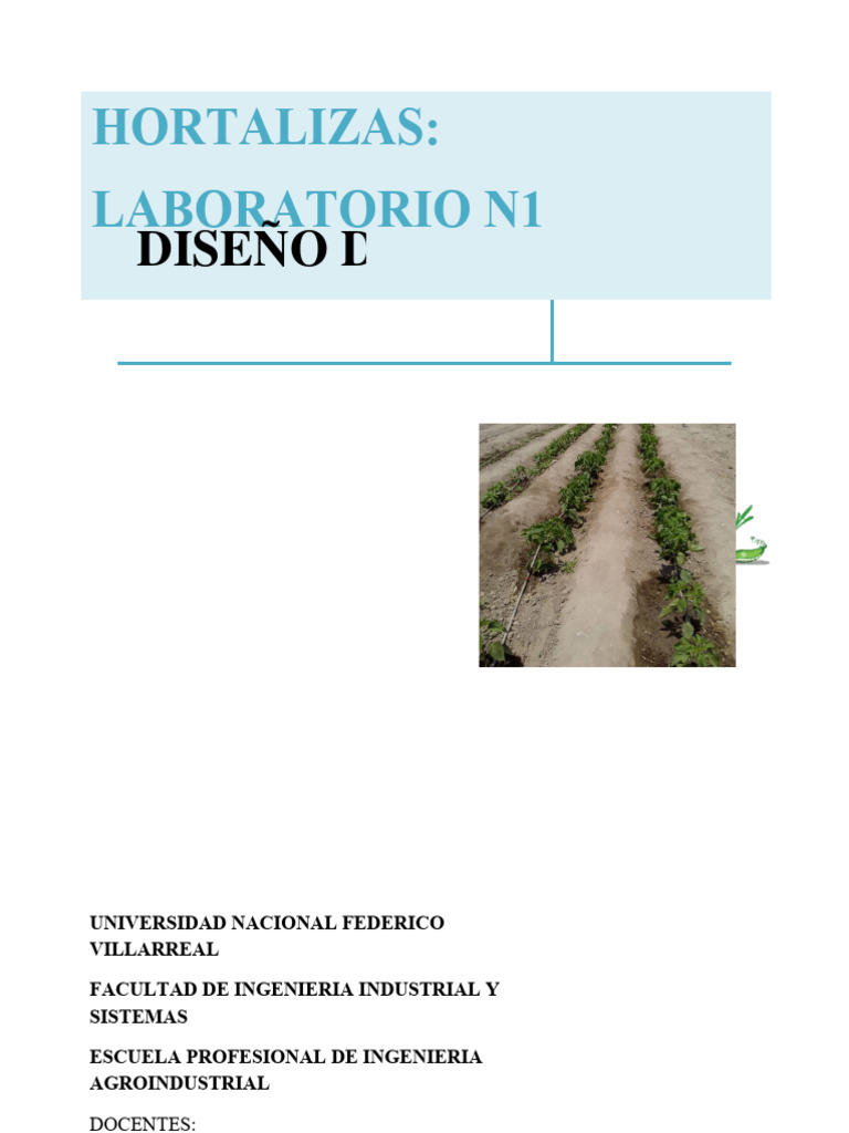 LABO-1 | PDF | Agricultura | Pimiento