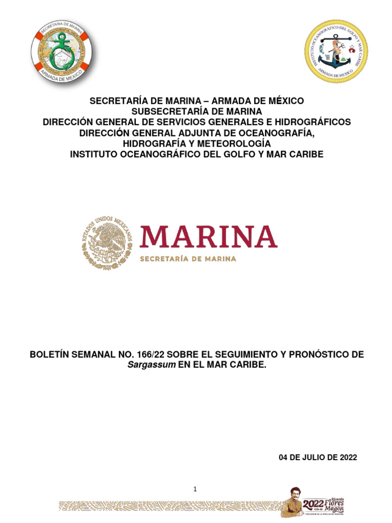 Sargazo Boletin 166 04 Julio 2022 | PDF | Ciencias de la Tierra | Hidrografía