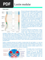 Síndrome Medular Posterior: Causas y Tratamiento | PDF | Médula espinal ...