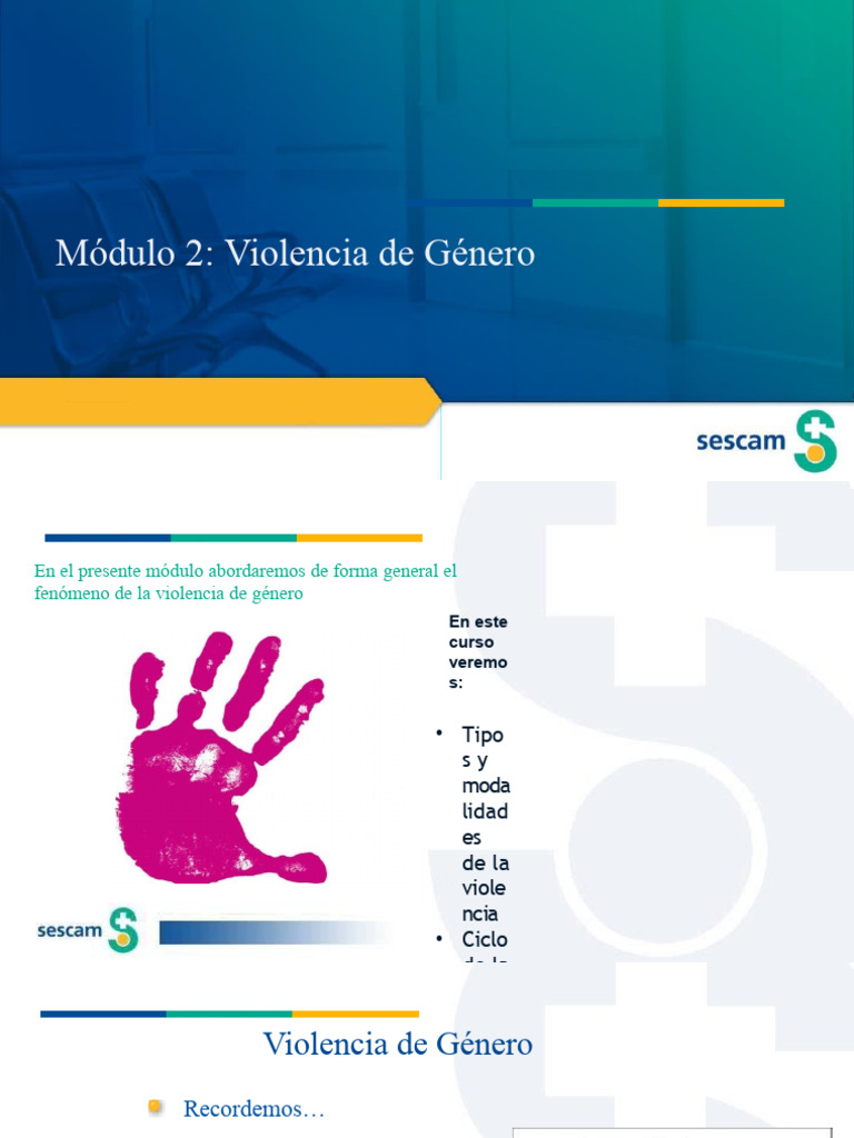 Modulo 2 Violencia De Genero Pdf La Violencia Contra Las Mujeres