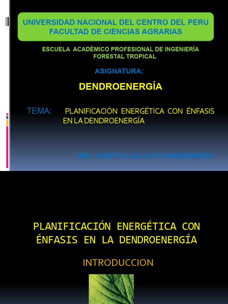 Planificación Energética Con Énfasis en La Dendroenergía | PDF | Planificación | Economias