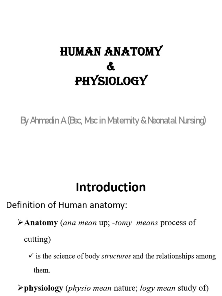 Human Anatomy and Physiology Overview | PDF | Vertebral Column | Muscle