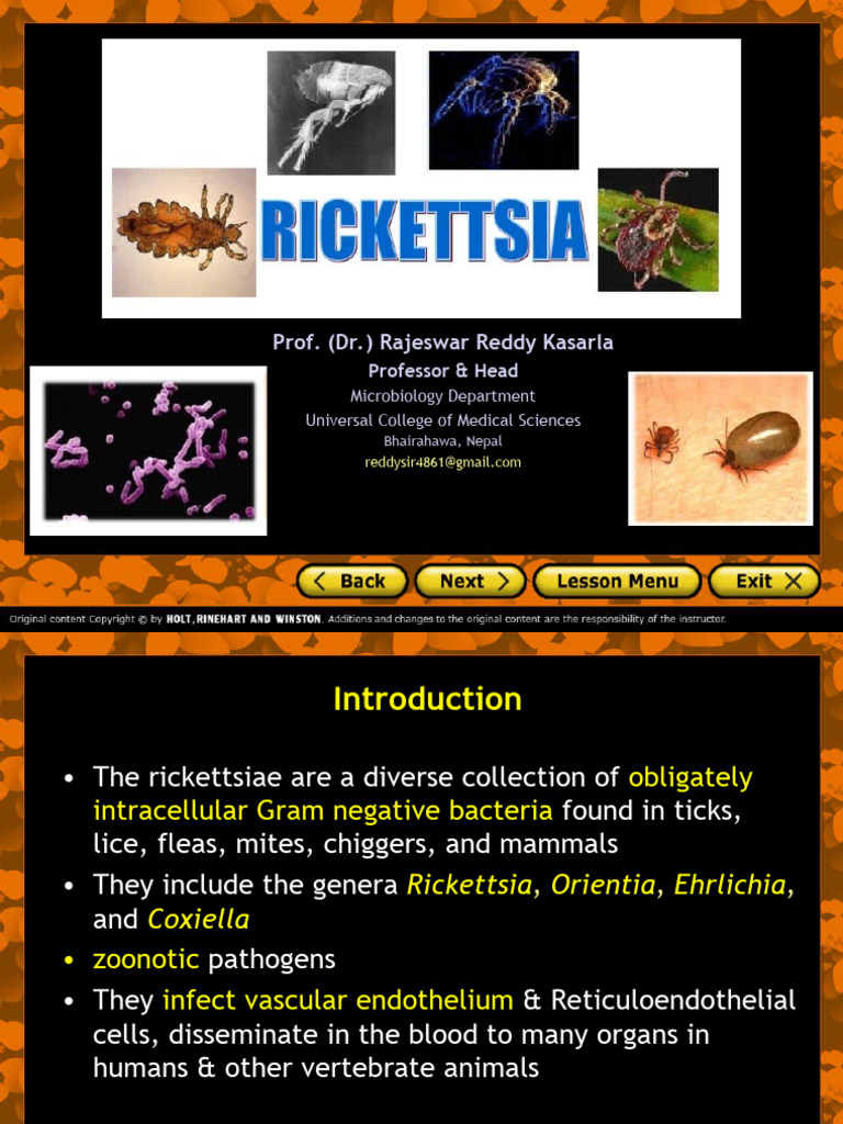 Rickettsia Revised | PDF | Bacteria | Infection