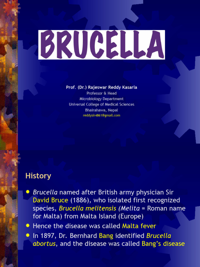Brucella | PDF | Immunology | Medical Specialties