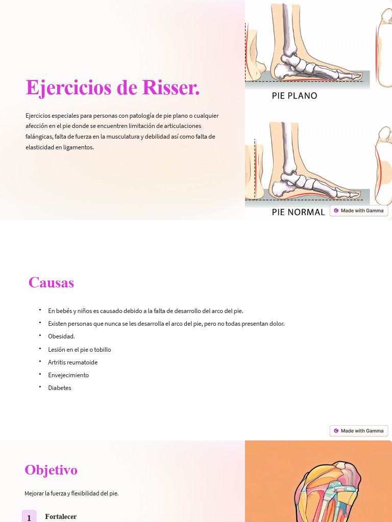 Ejercicios de Risser | PDF | Pie | Flexibilidad (anatomía)