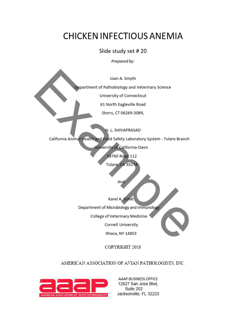 Chicken Infectious Anemia Example | PDF | Virus | Infection