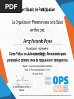 (OPS) Curso Virtual Sobre El Correcto Llenado Del Certificado de Defunción - ILSE DANIELA FLORES ...