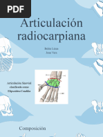 Articulación Radiocarpiana | PDF | Articulación | Extremidades (anatomía)