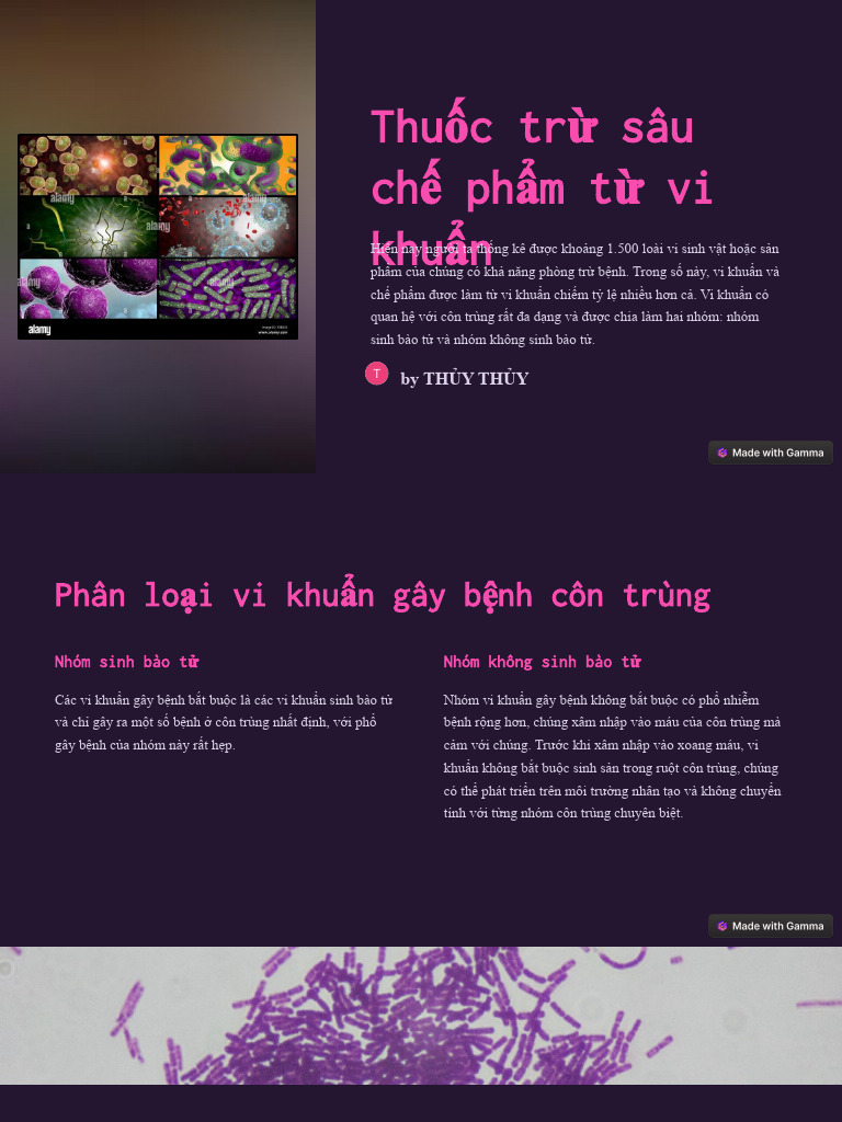 Thuoc Tru Sau Che Pham Tu Vi Khuan | PDF