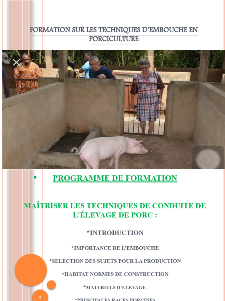 Formation Porciculture VF 6 | PDF | Cochon | Alimentation animale