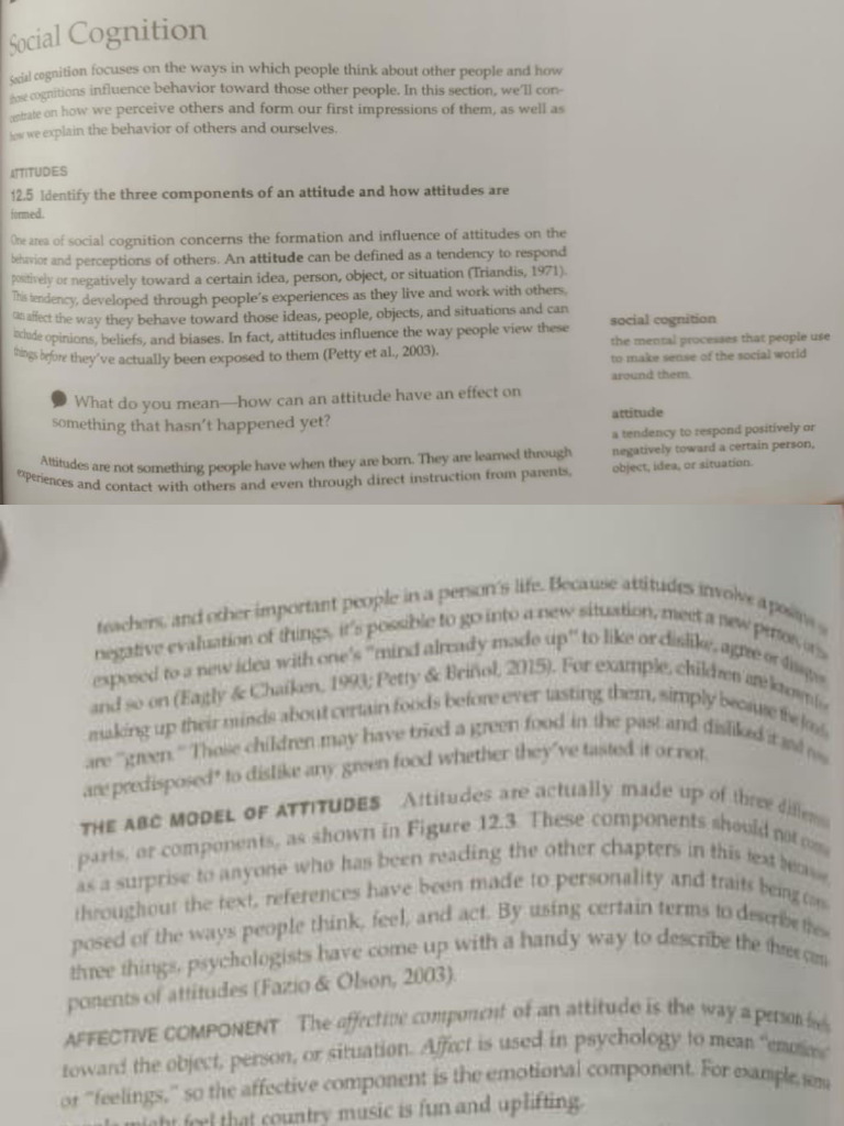 Attitude and Stereotype (PDF 7) | PDF | Schema (Psychology ...