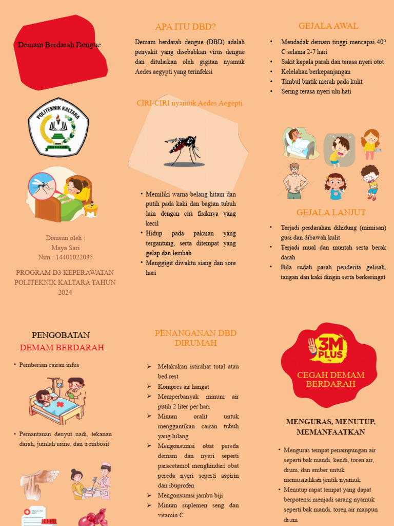 Leaflet DBD Maya | PDF