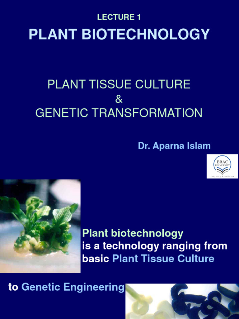 Plant Biotechnology: Tissue Culture & Transformation | PDF | Plant ...