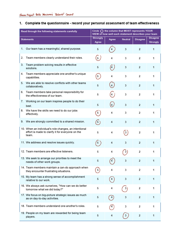 Team Effectiveness Questionnaire | PDF | Psychology | Behavioural Sciences