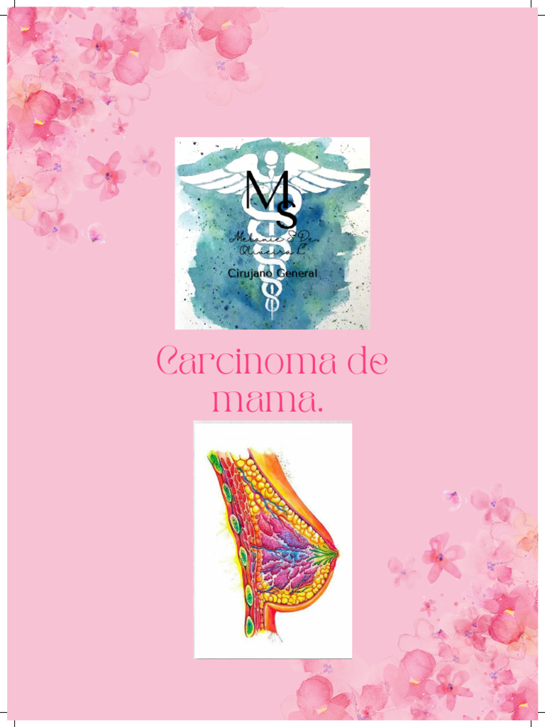 Clase de Mama | PDF | Mamografía | Pecho