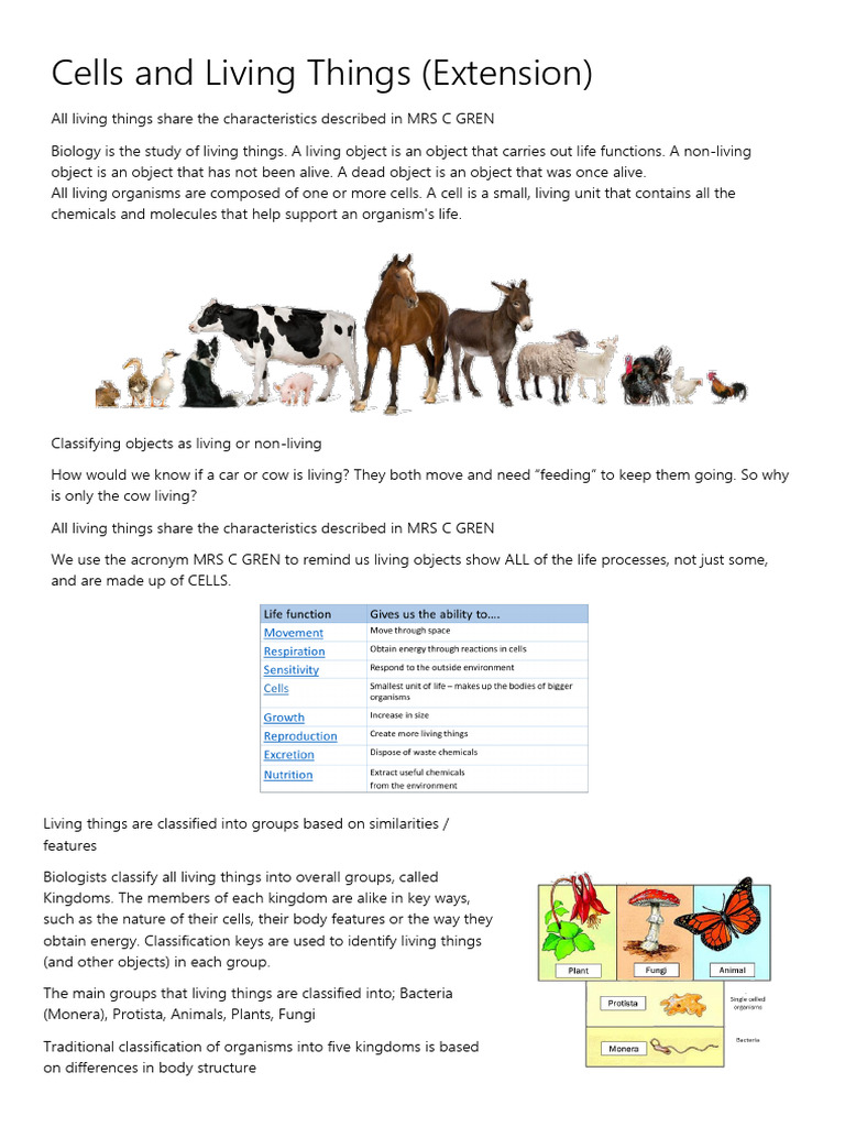 Notes Cells and Living Things Chs | PDF | Cell (Biology) | Foods