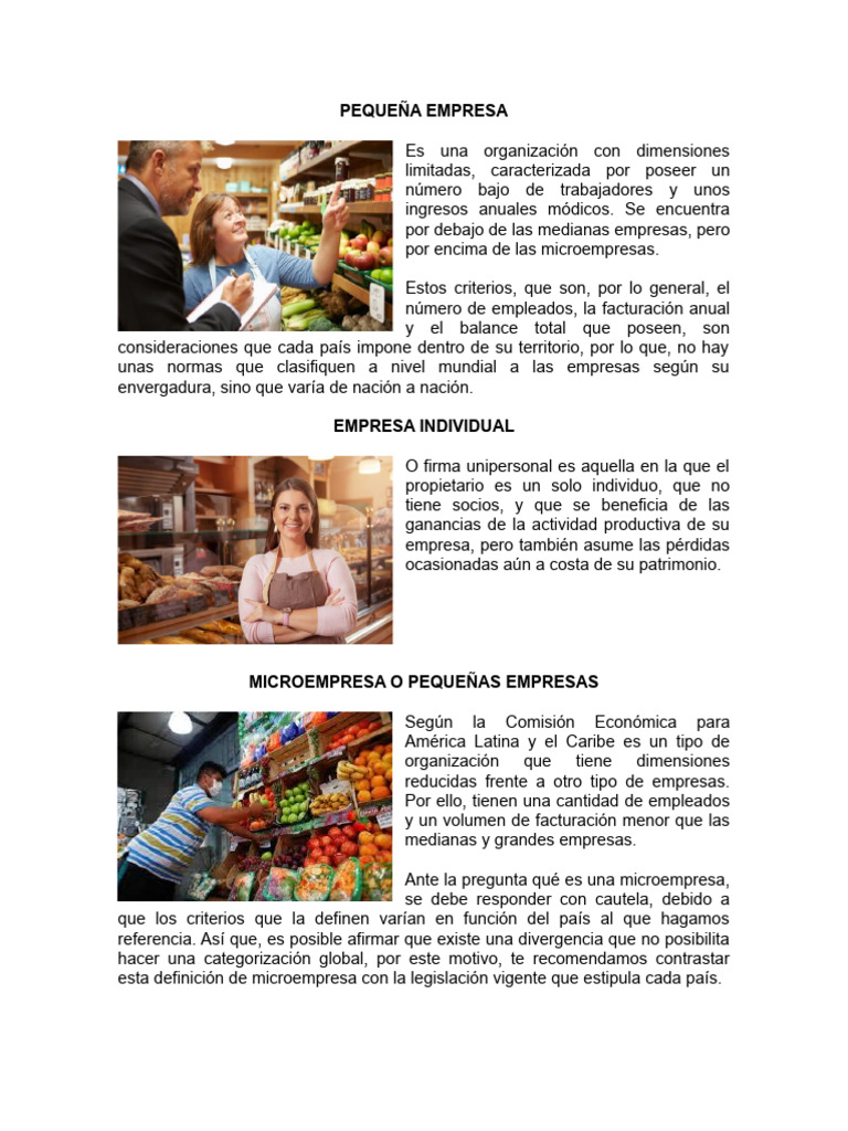 Pequeña Empresa | PDF | Pequeñas y medianas empresas | Business