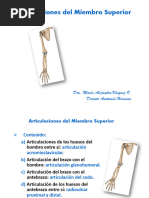 Articulaciones de la Mano: Tipos y Movilidad | PDF | Articulación | Mano