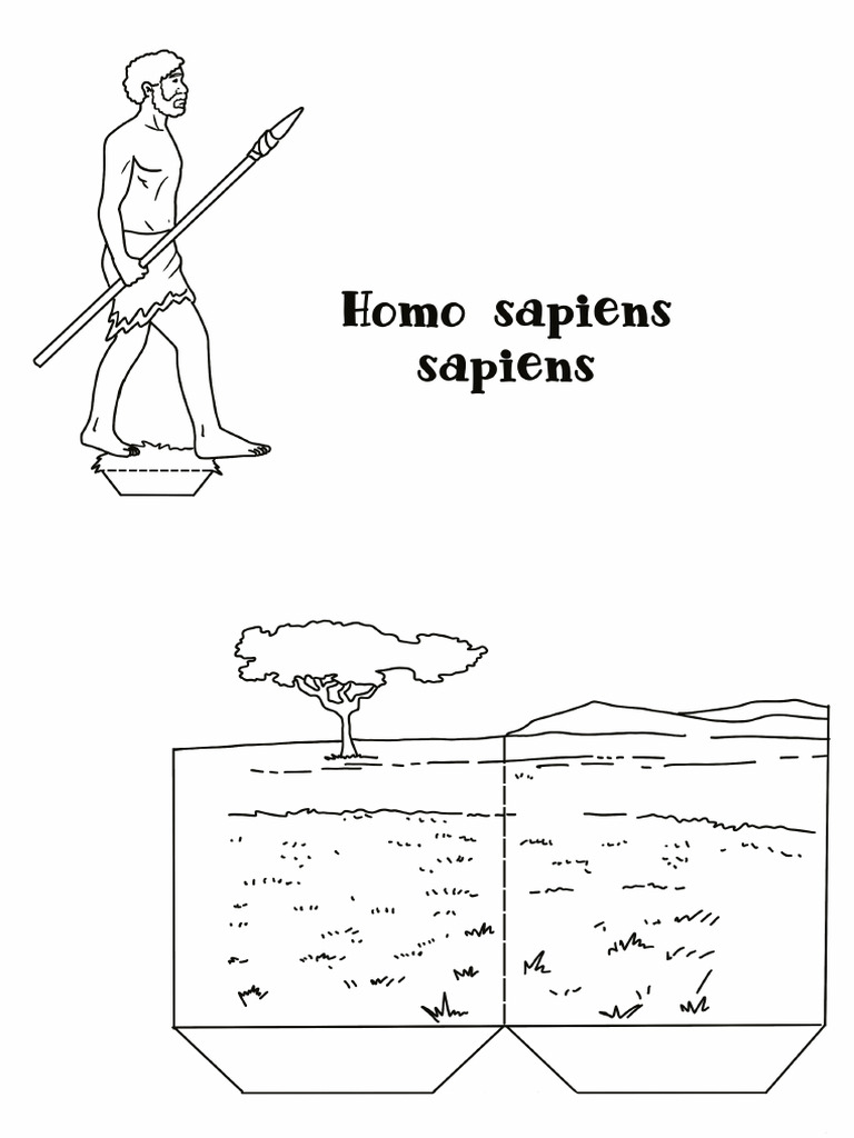 Homo Sapiens Sapiens | PDF