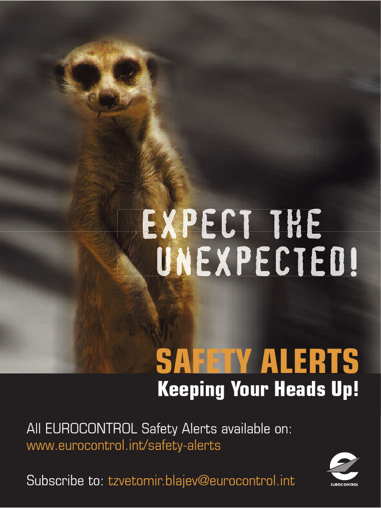 Safety Alerts: Keeping Your Heads Up! | PDF