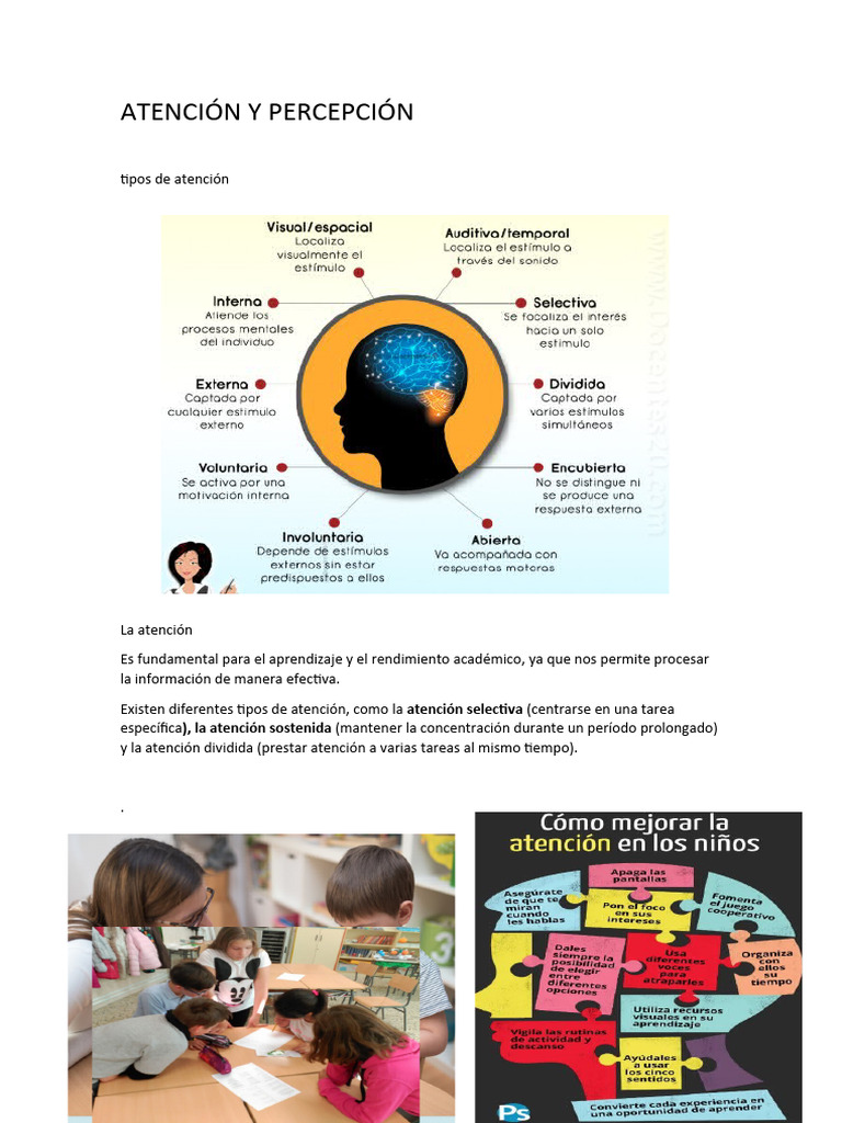 Trabajo Funciones Ejecutivas y Atencion | PDF