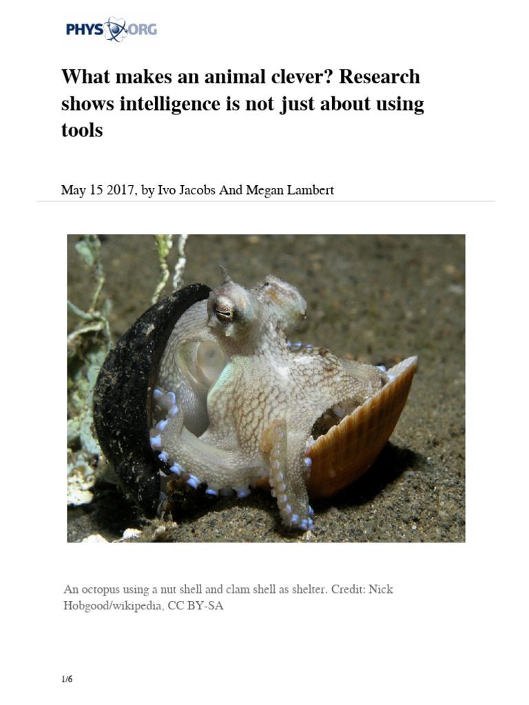 2017 05 Animal Clever Intelligence Tools | PDF | Tools | Zoology