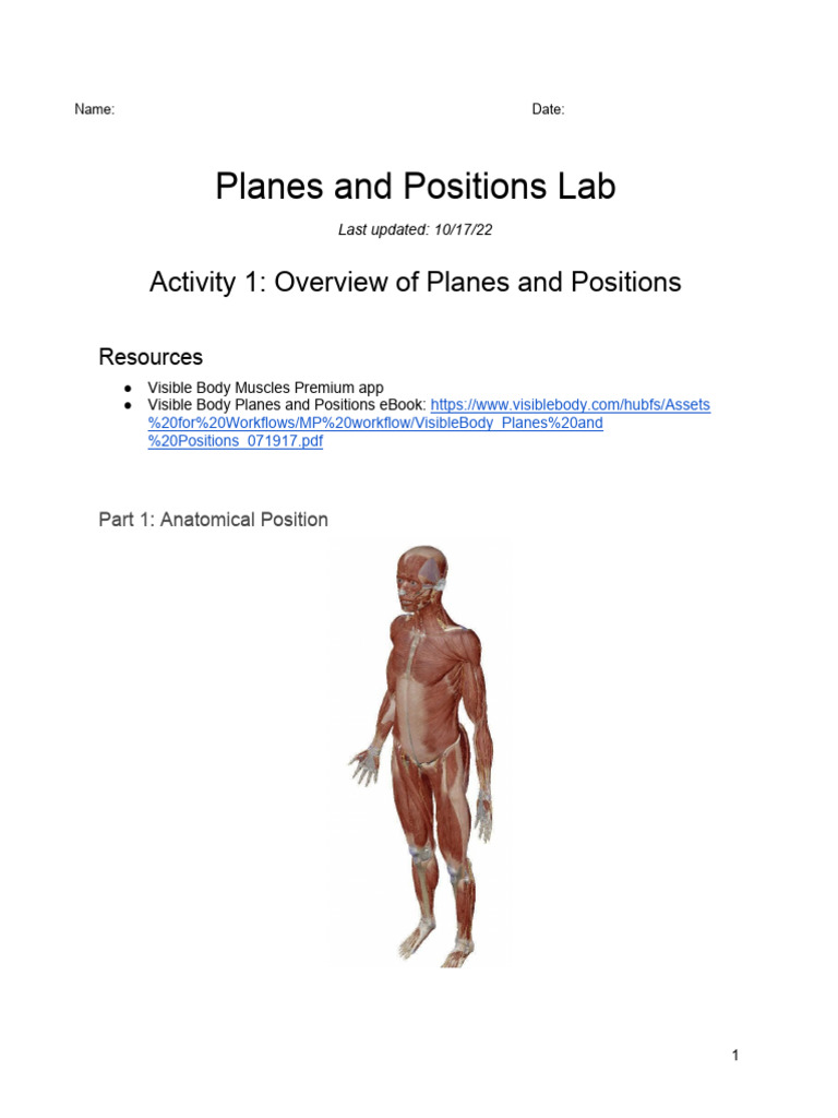 Muscle Premium Lab Planes Positions | PDF | Human Leg | Limbs (Anatomy)