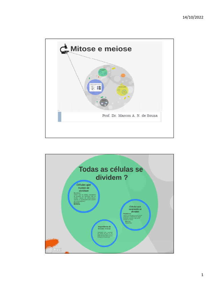 02 Ciclo celular -mitose e meiose | PDF | Meiose | Mitose