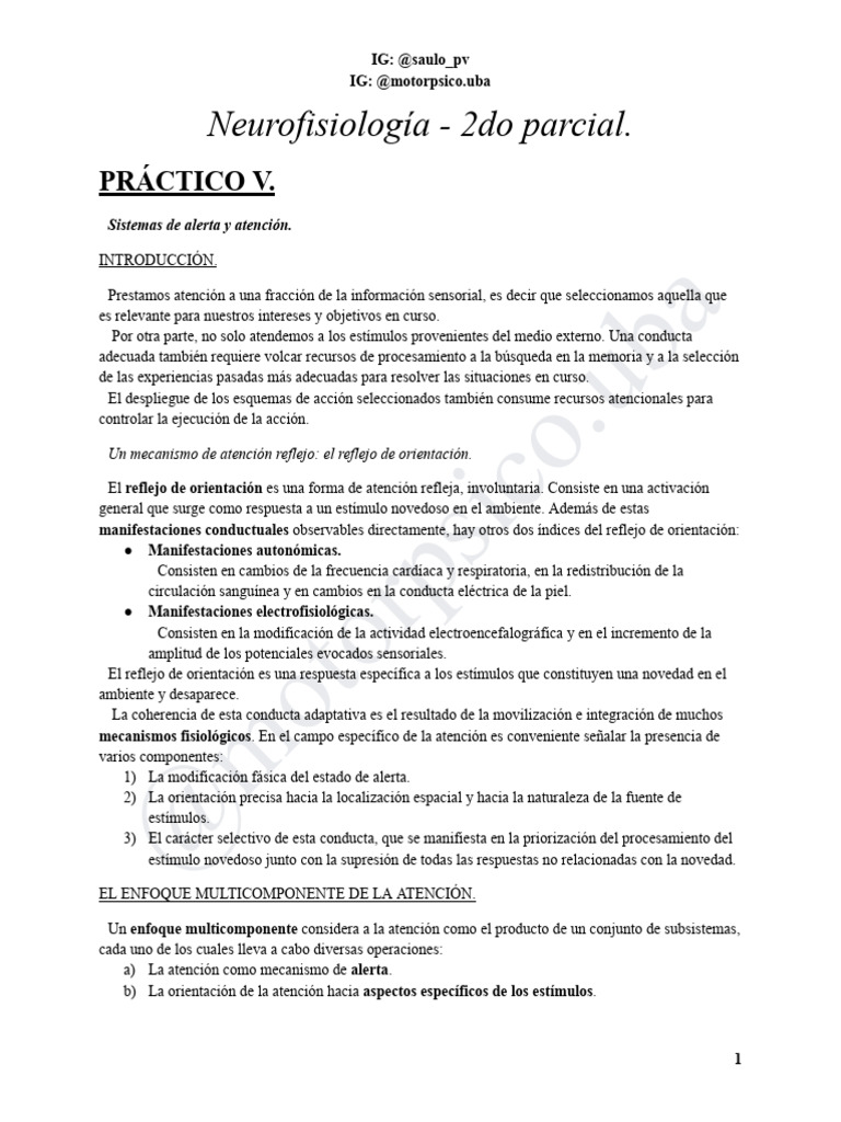 Neurofisiología - 2do Parcial | PDF | Sistema visual | Percepción visual