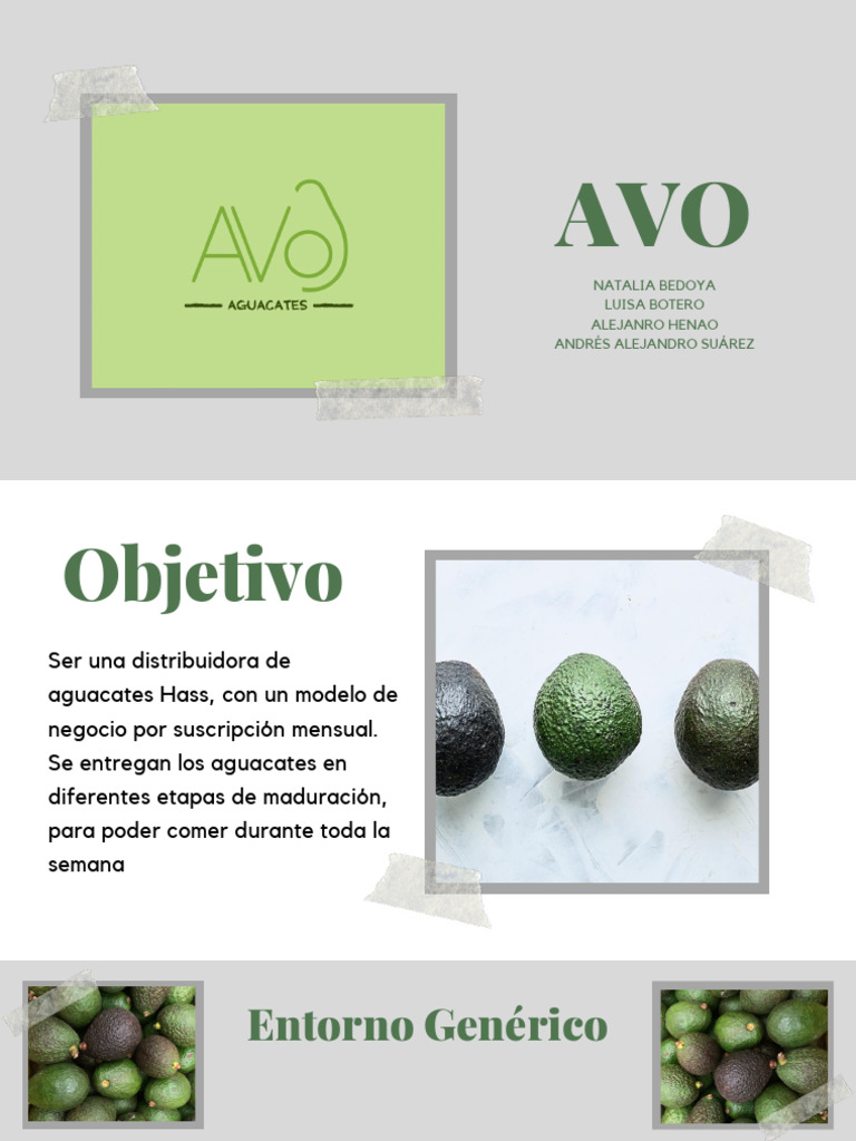 AVO Entrega 1 | PDF | Precios | Economias
