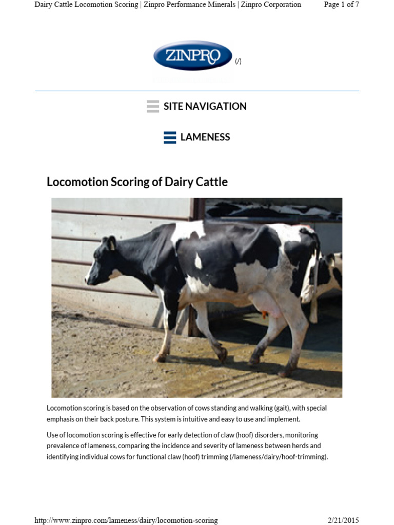 Locomotion Scoring | PDF | Walking | Cattle