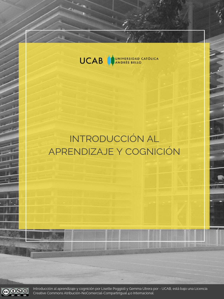 Teorías Cognitivas Del Aprendizaje Pdf Aprendizaje Cognición