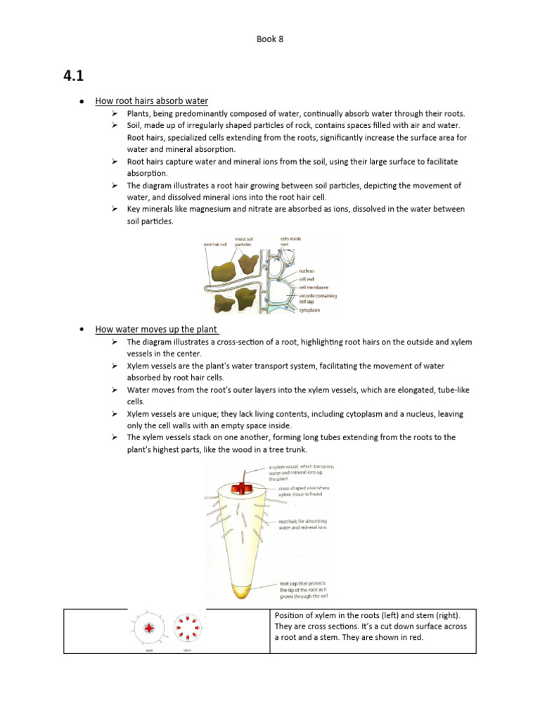 Chapter 4, Book 9 | PDF | Excretion | Human Body