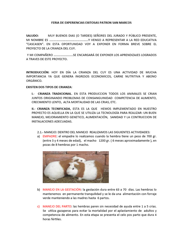 Crianza Tecnificada del Cuy: Proyecto Educativo | PDF | Conejillo de ...