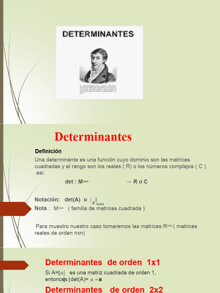 Introducción a Determinantes de Matrices | PDF | Matriz (Matemáticas ...